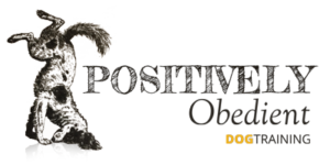 In-home obedience training and problem-solving for you and your dog